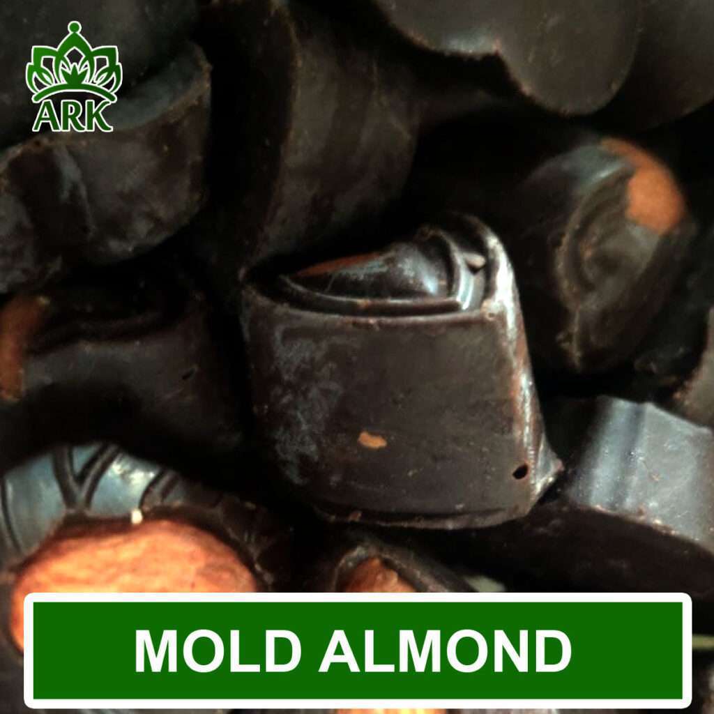 Mold Almond – ARK Chocolates